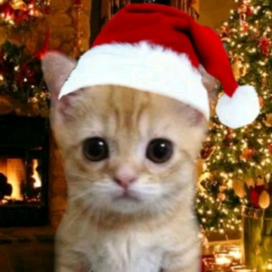 Иконка канала Спорточел