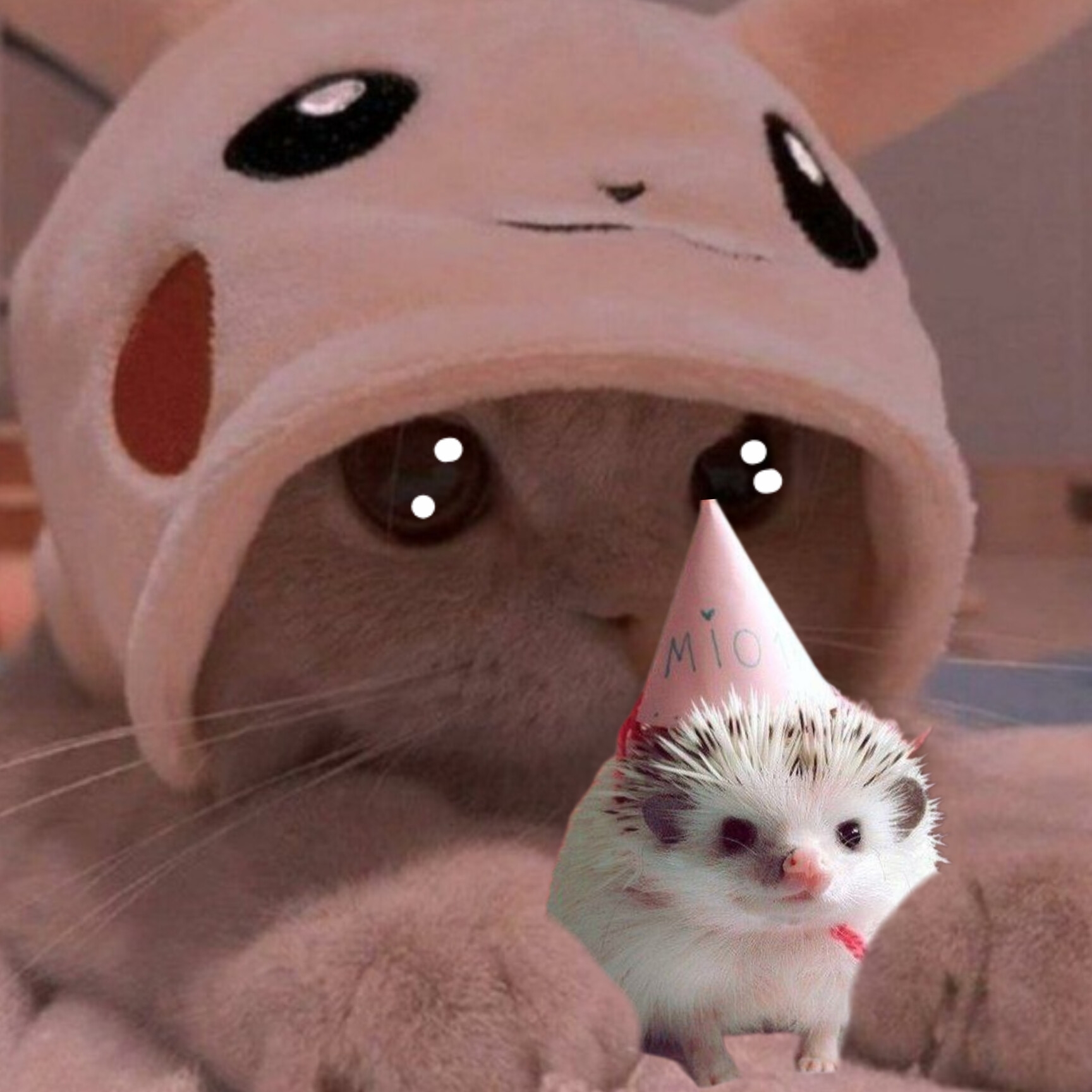 Иконка канала LIFEYASMIN