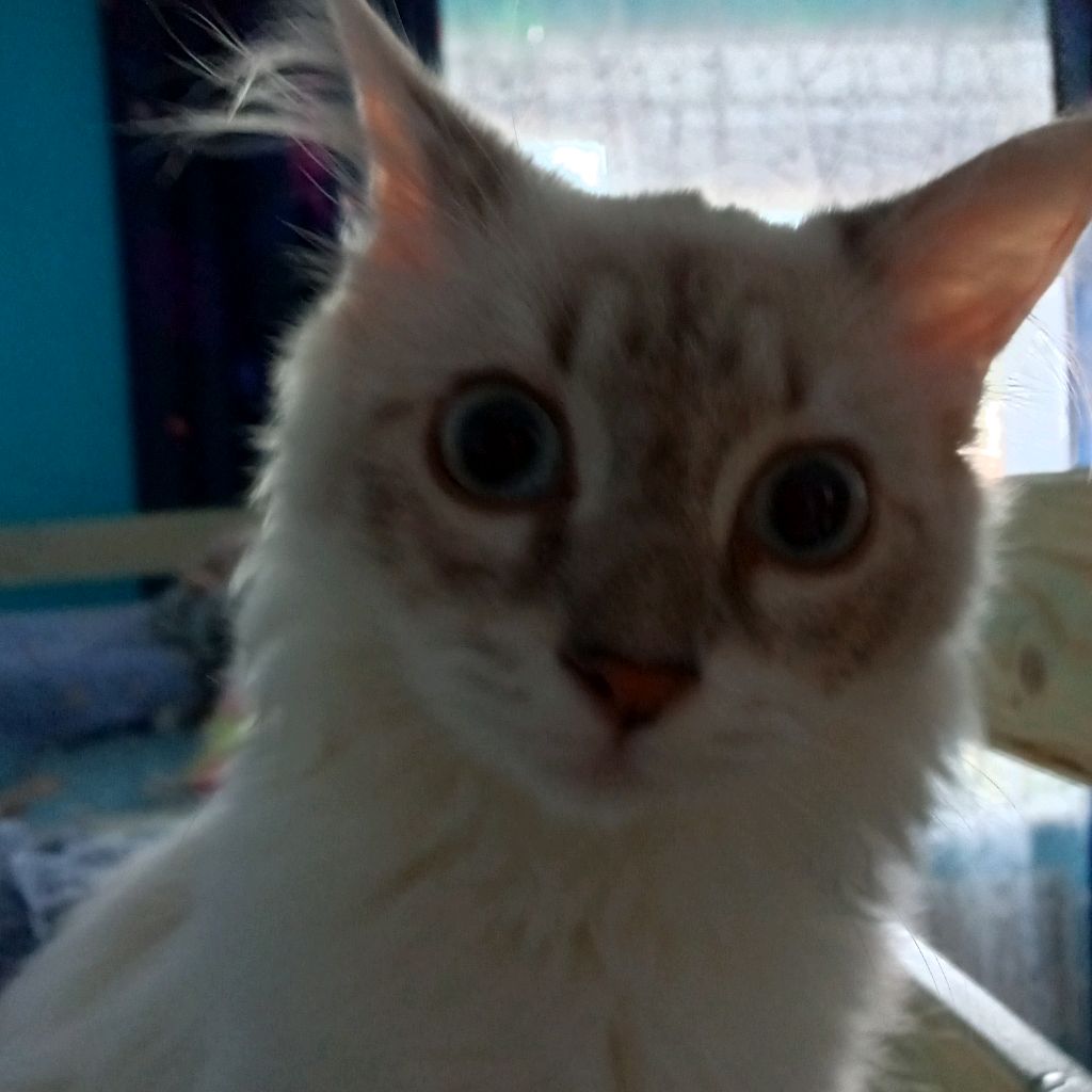 Иконка канала MR. VLADISLAVЫЧЬ