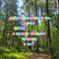 Иконка канала 🌿~``•••|`|•~•ЭЛОЙ~~`•••|~``~🌿