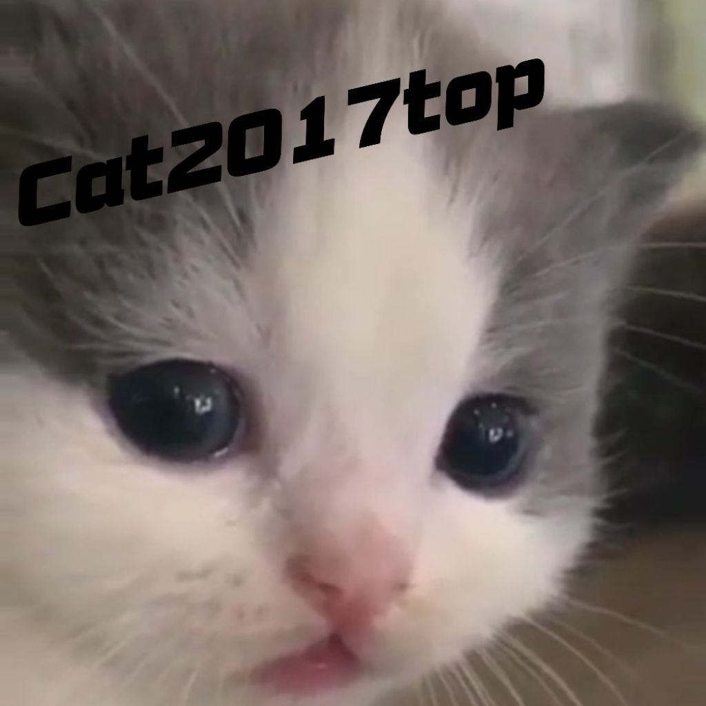 Иконка канала Cat2017top
