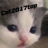 Иконка канала Cat2017top