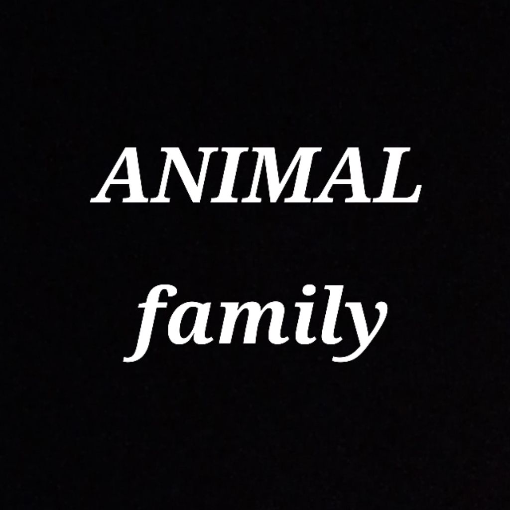 Иконка канала ANIMAL FAMILY