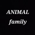 Иконка канала ANIMAL FAMILY