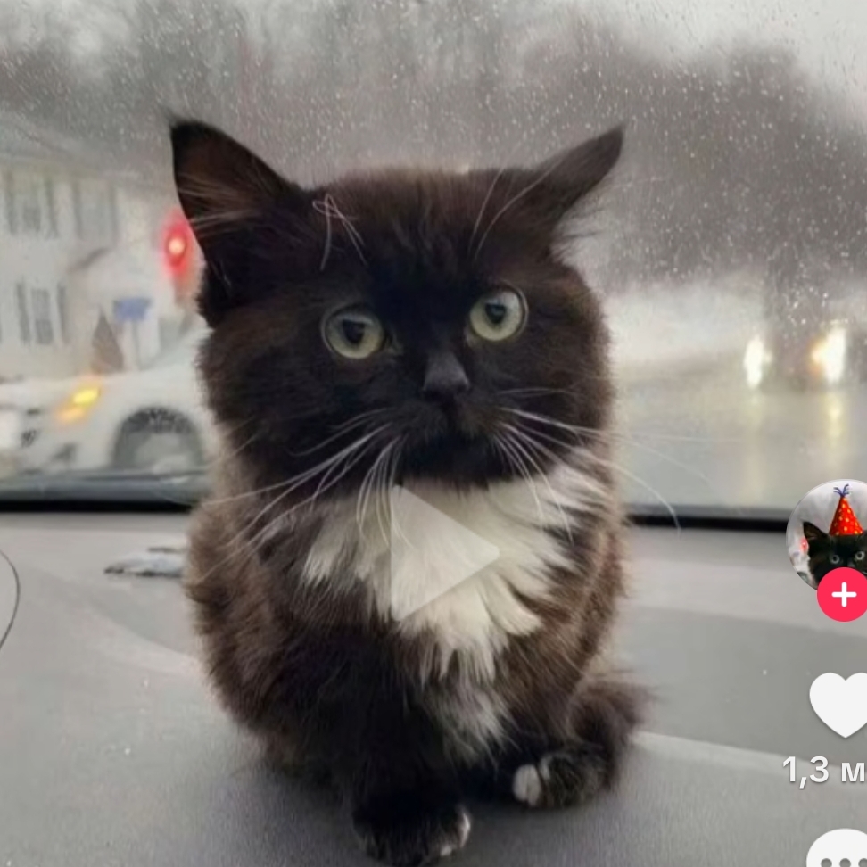 Иконка канала гигабайт