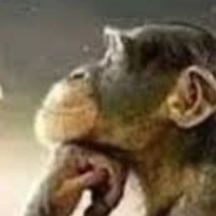 Иконка канала Перезаливы с ютуба