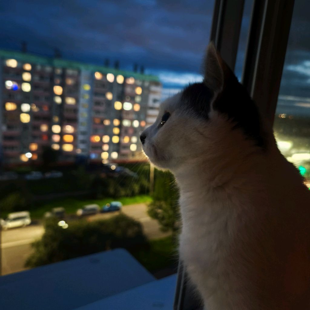 Иконка канала Дачная Жизнь на Востоке