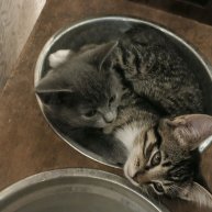 Иконка канала РИТА и Гитара