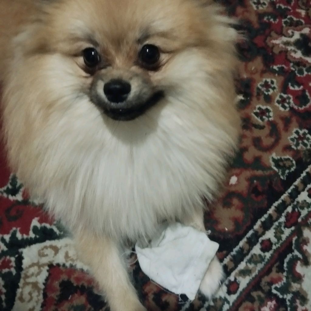 Иконка канала channel70959208