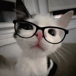 Иконка канала ggpr_o