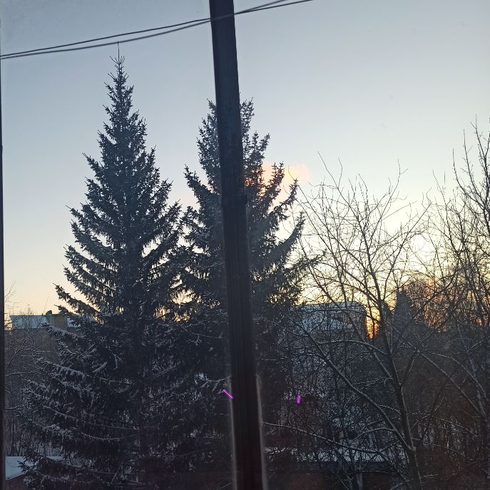 Иконка канала Женя pets