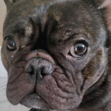 Иконка канала КРУТЫЕ МЕМЧИКИ