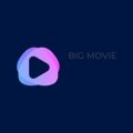 Иконка канала BIG MOVIE