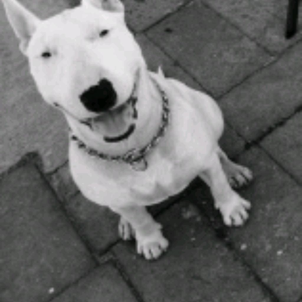 Иконка канала øWERTYGELø¹²³⁴⁵