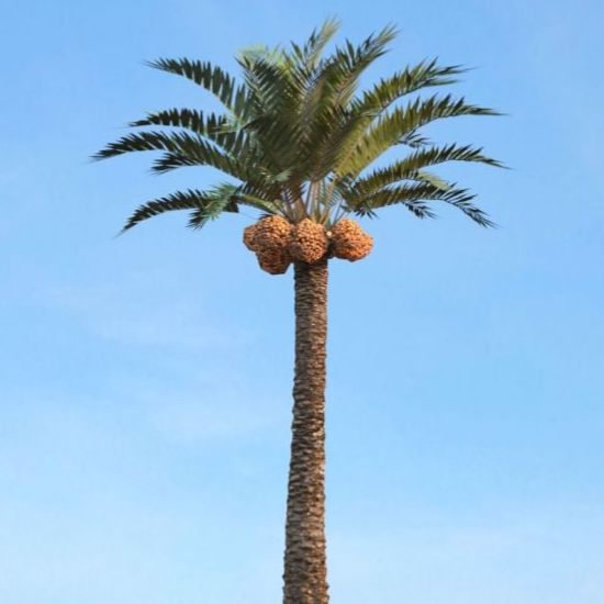 Иконка канала Palmochka74