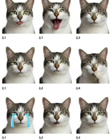 Иконка канала Жизнь КОТИКА ЛАЙКА