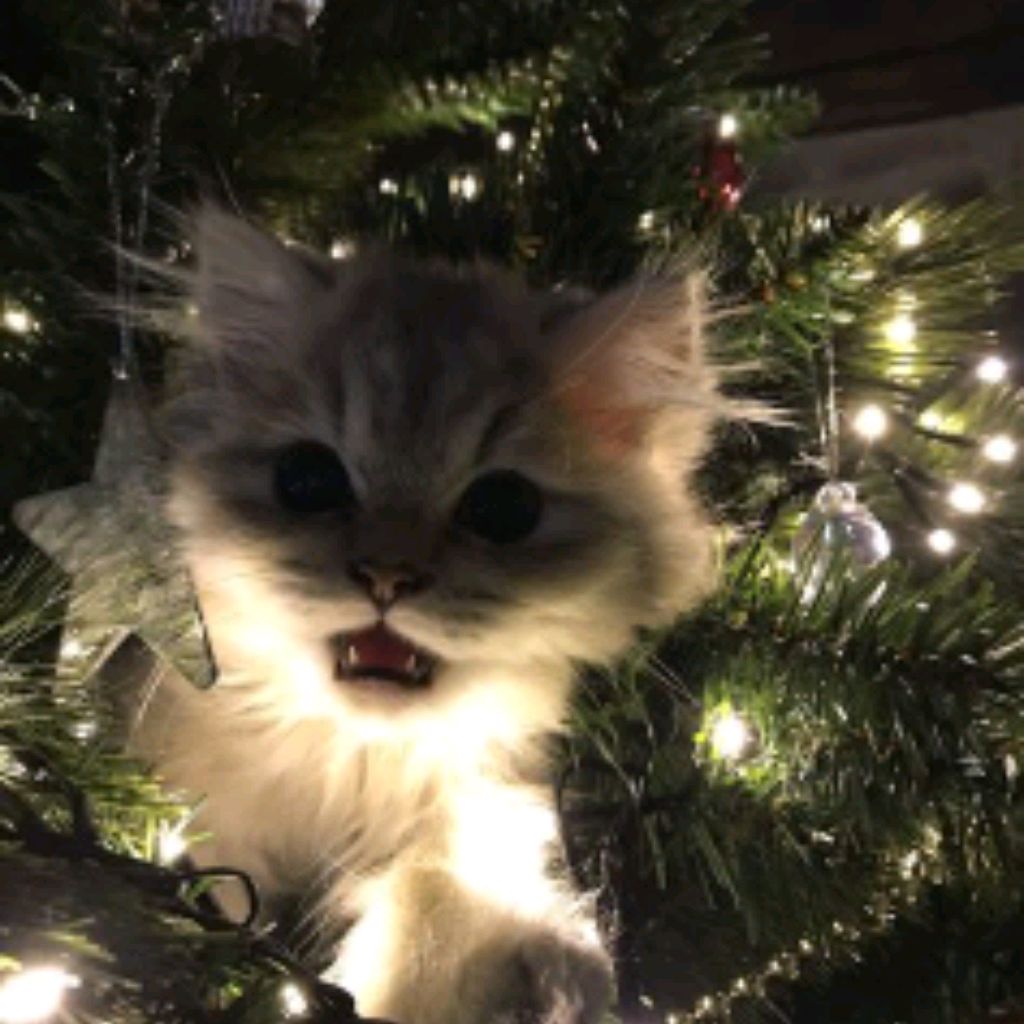 Иконка канала 🎄Арина🎄