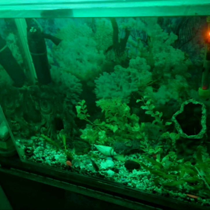 Иконка канала RABBITS and Gerri