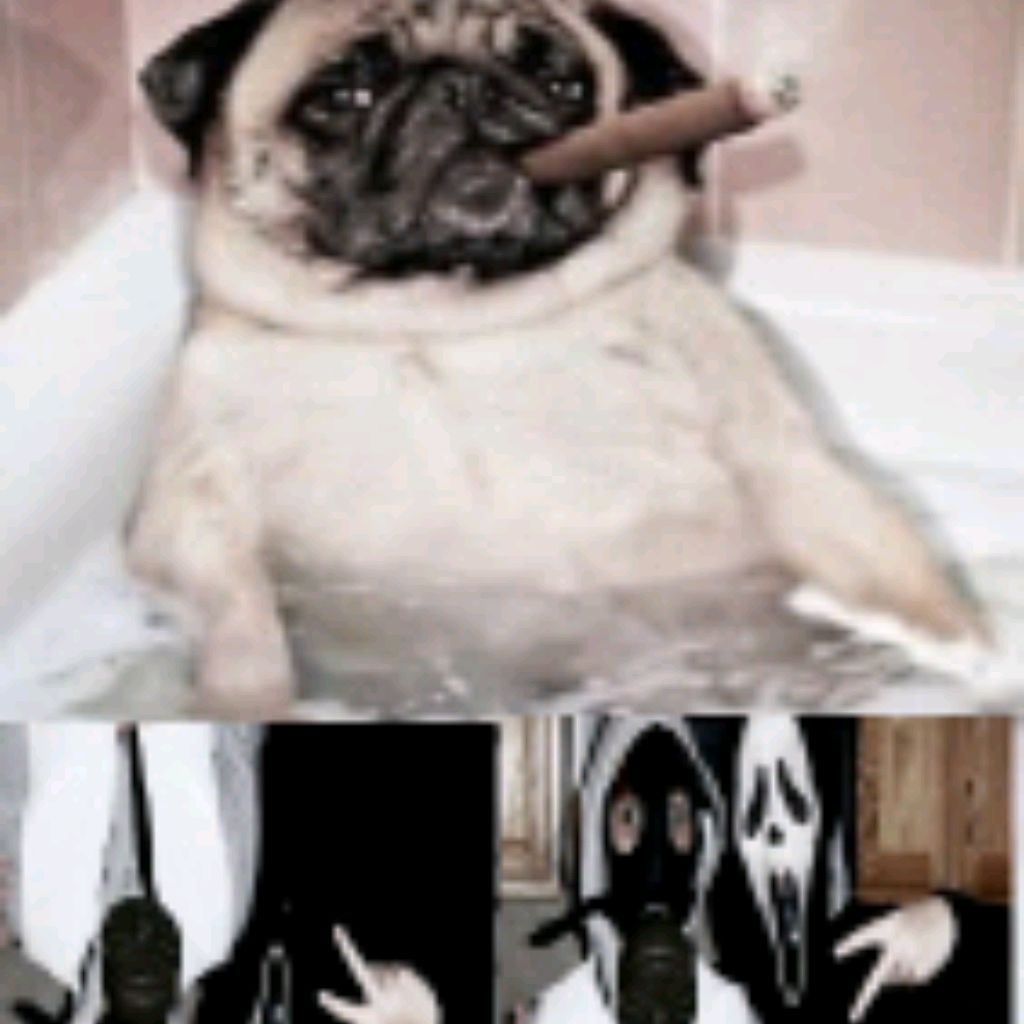 Иконка канала МакS каТиТЬ