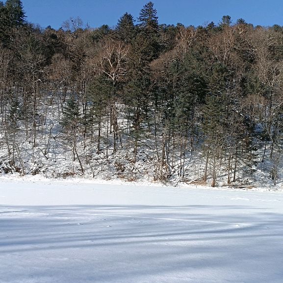Иконка канала Дальний Восток