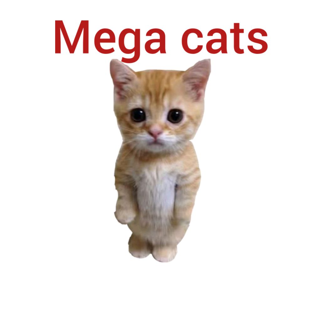 Иконка канала МЕГА КЭТС