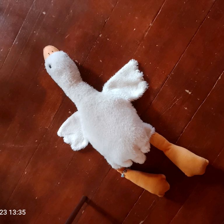 Иконка канала 🪿Гусь Натусь🪿