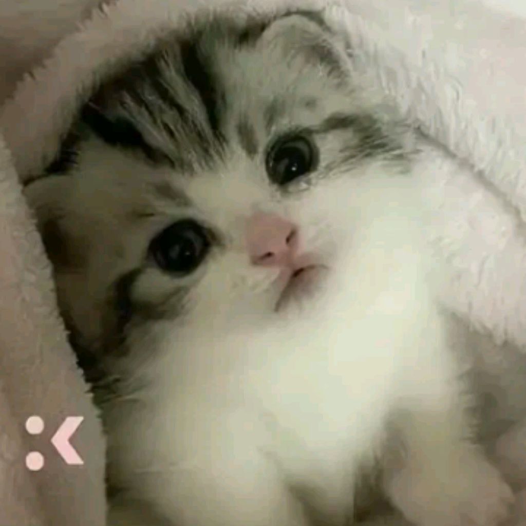 Иконка канала Радусик💗