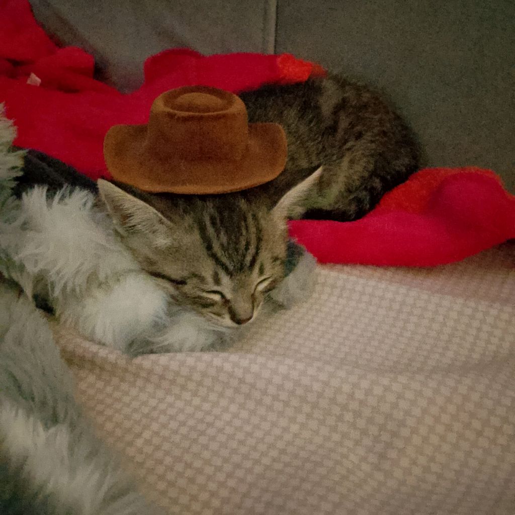 Иконка канала Милана