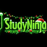 Иконка канала Study Ninja — ИИ-репетитор