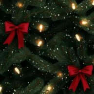 Иконка канала ❄️Алиса кошка мяу🌲