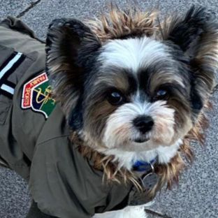 Иконка канала Lucky