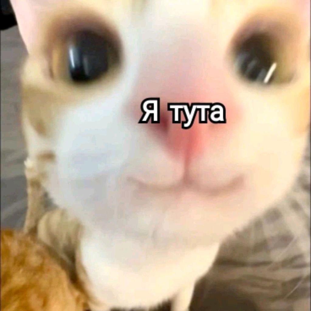 Иконка канала Макс Лайф