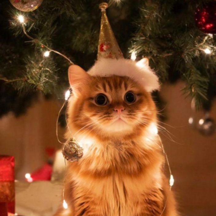 Иконка канала Alex и друзья!😆