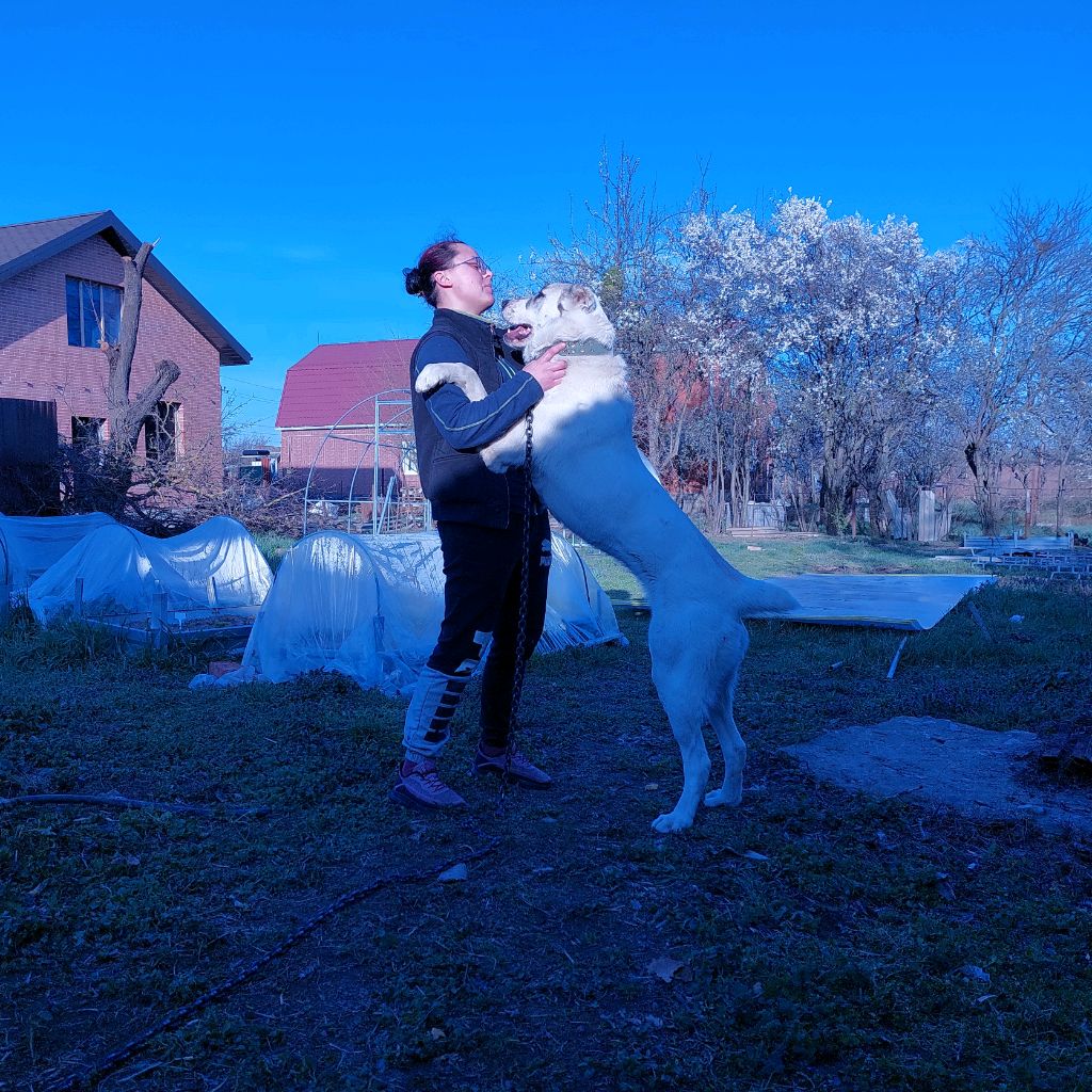 Иконка канала Александрия Александровна