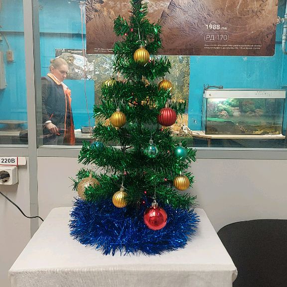 Иконка канала Чикен валер