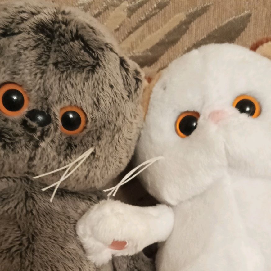 Иконка канала Басик И Лили