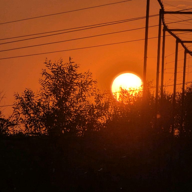 Иконка канала Diana