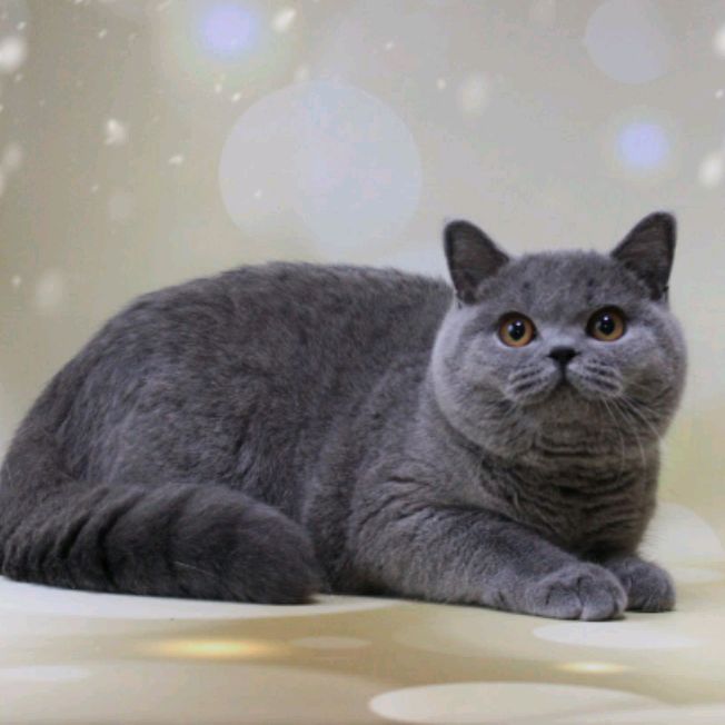 Иконка канала Izabella1718