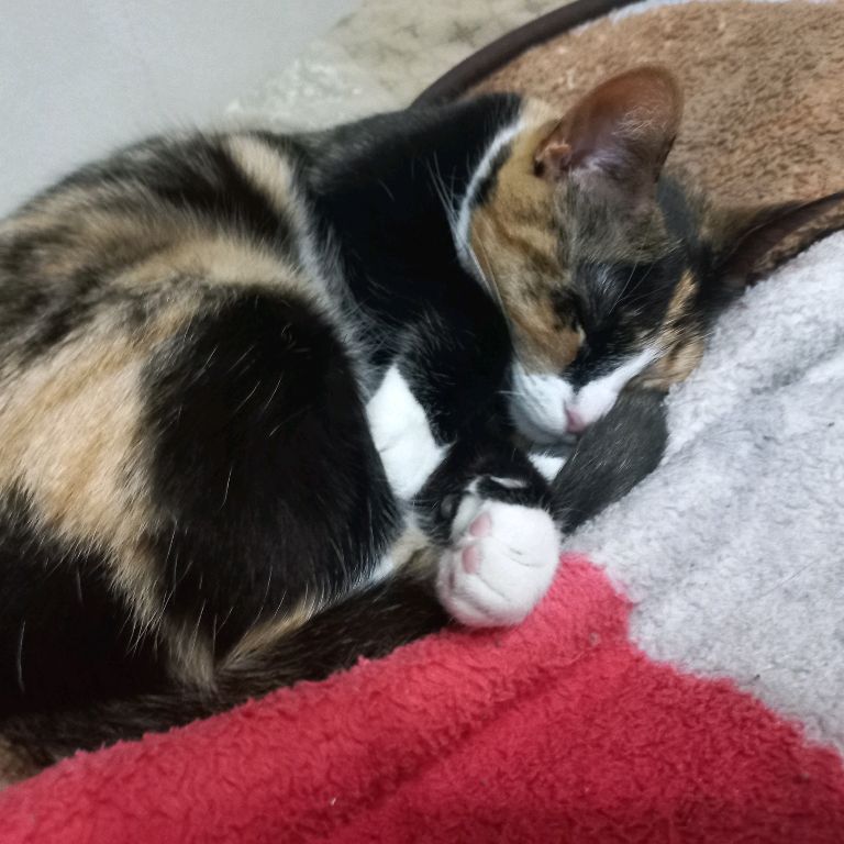 Иконка канала Кот48к