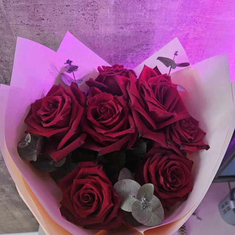 Иконка канала Алиса🎄