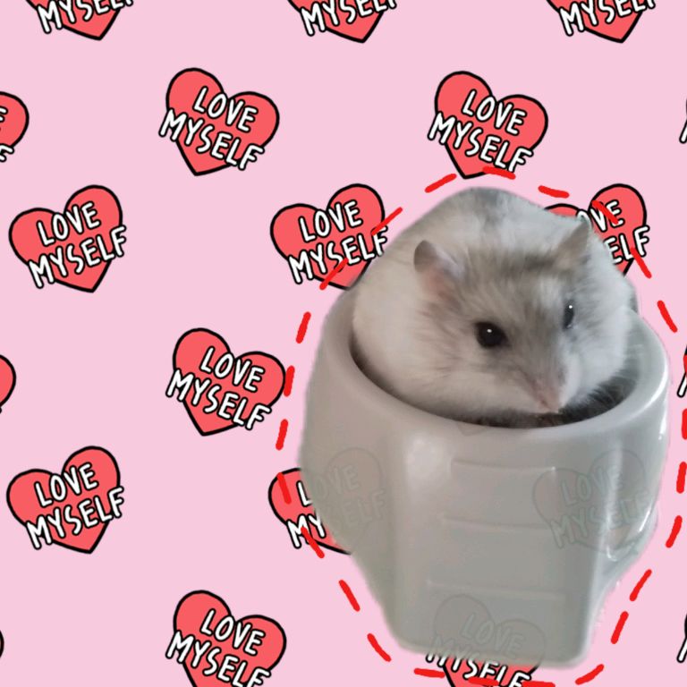 Иконка канала ШОУ ЖОРИКА