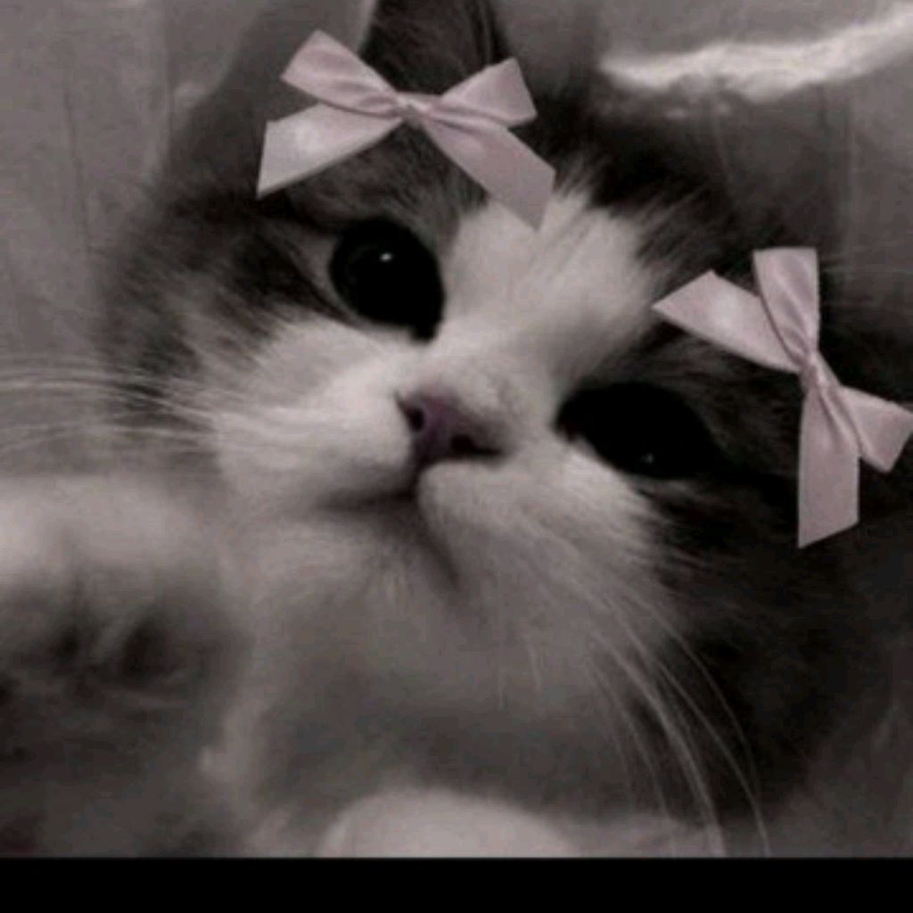 Иконка канала channel73939016