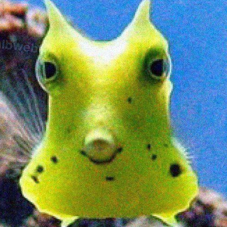 Иконка канала ZupVup