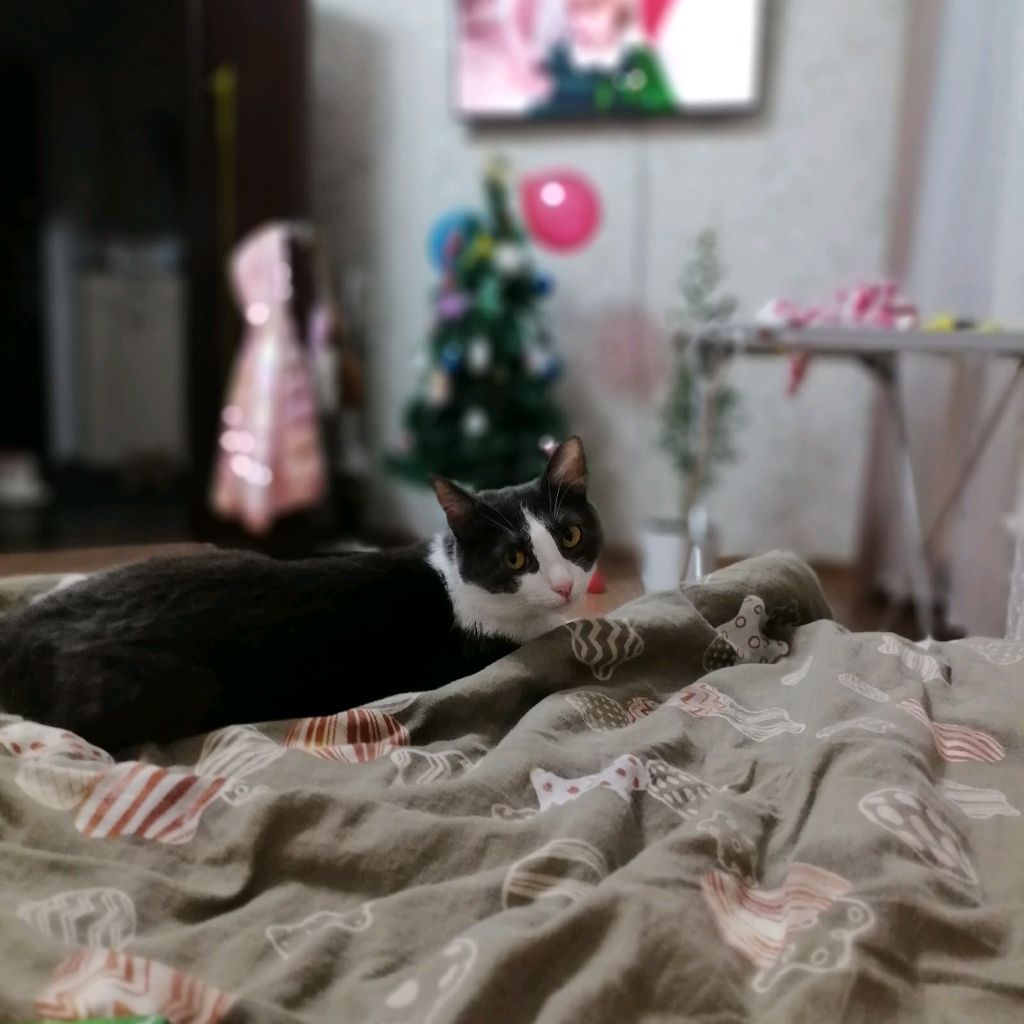 Иконка канала Дымка💝