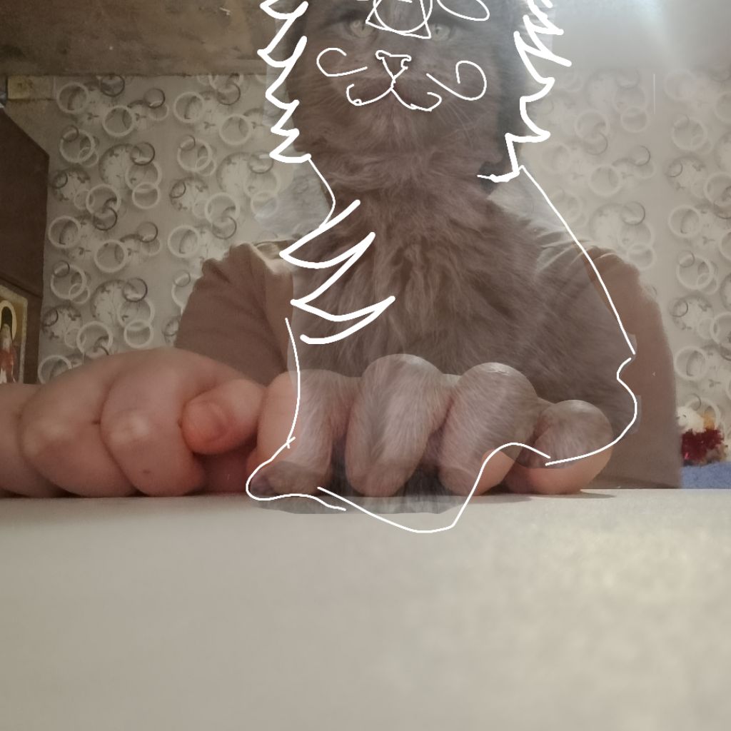 Иконка канала Серая Куна🦴🐈