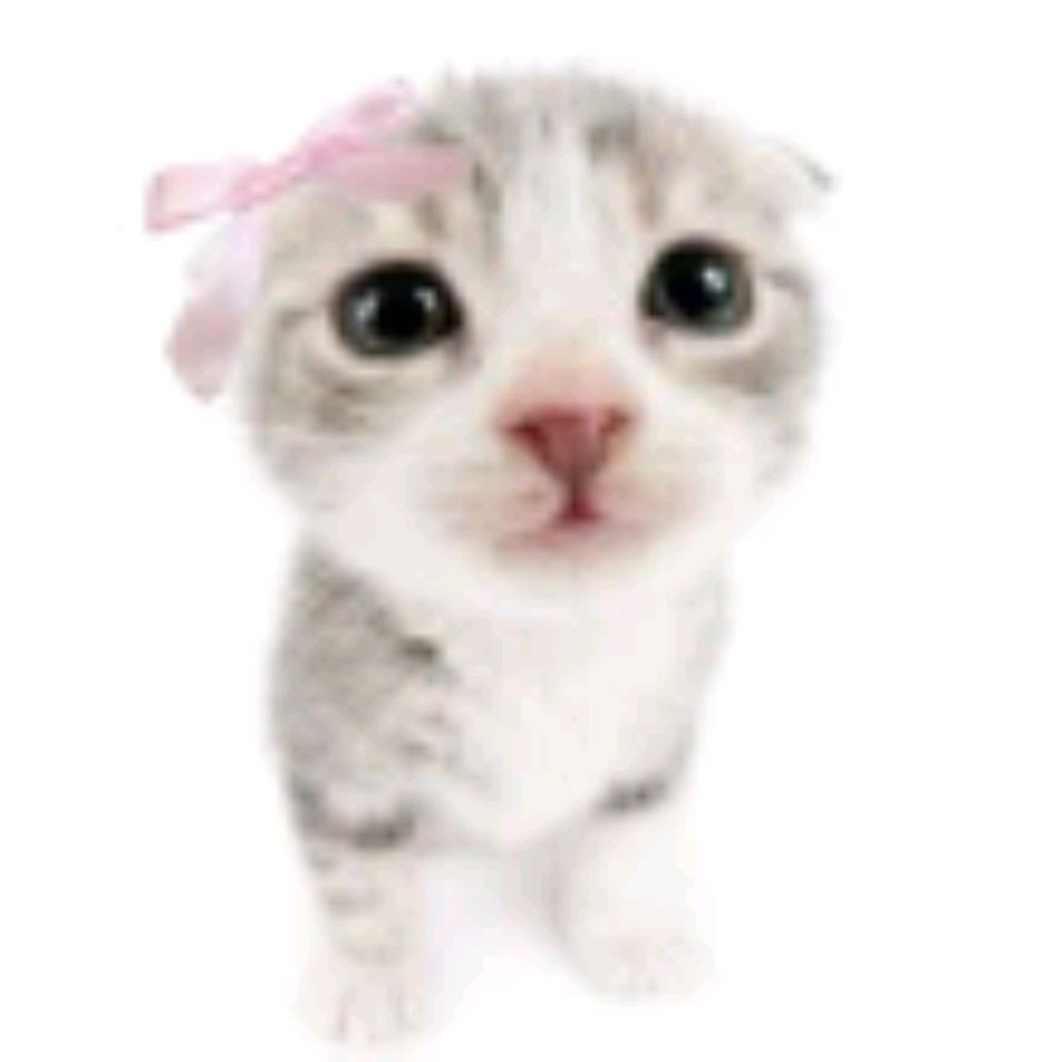 Иконка канала .🍩Пушистая🍩.