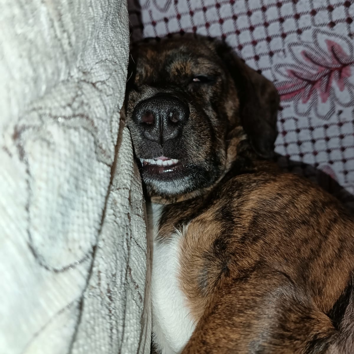 Иконка канала channel73454263