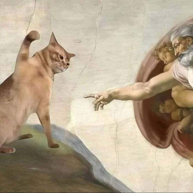 Иконка канала channel24069147