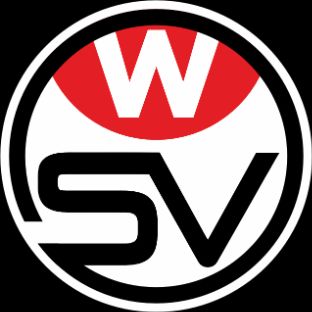 Иконка канала Sun Vision World l премиальные пленки