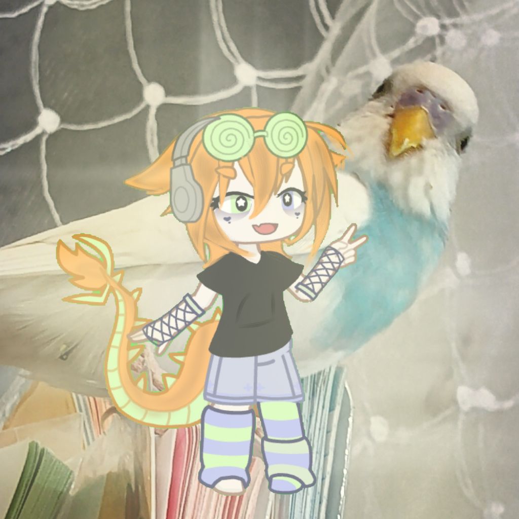 Иконка канала 🐱☆ Краткая ☆🐱